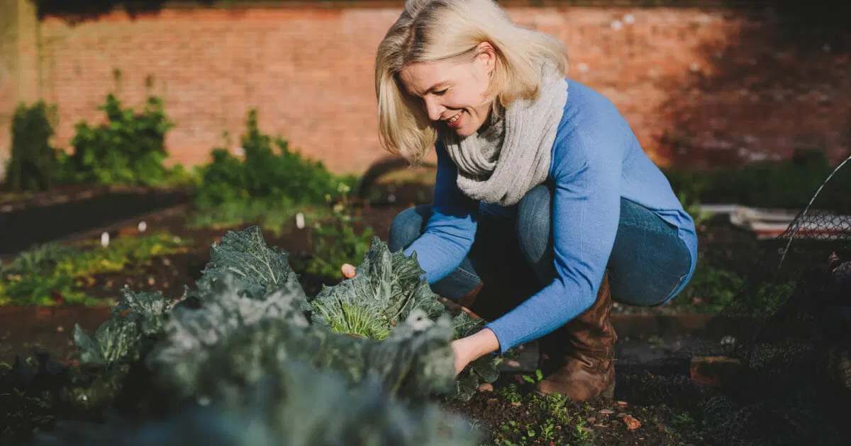The Rise of Kitchen Gardens & the Women Who Run & Work in Them - Women ...