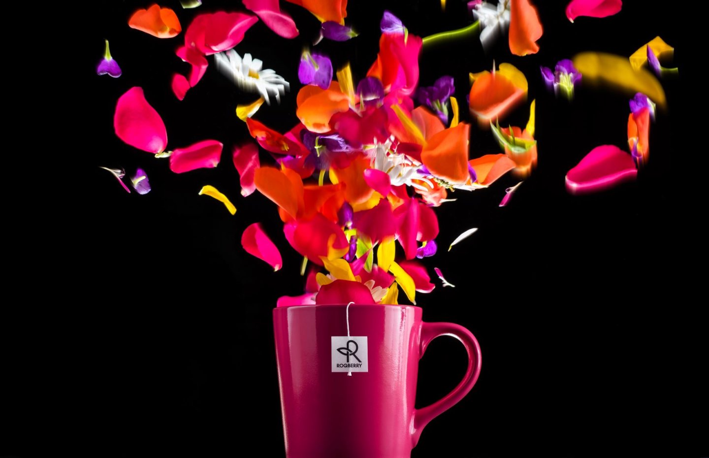 Female Food Founders – Interview with Kim Havelaar Founder of Roqberry ...