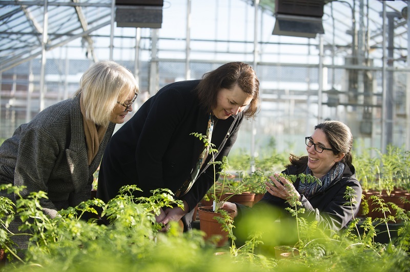Victoria Prentis on her previous role of Minister of State DEFRA ...