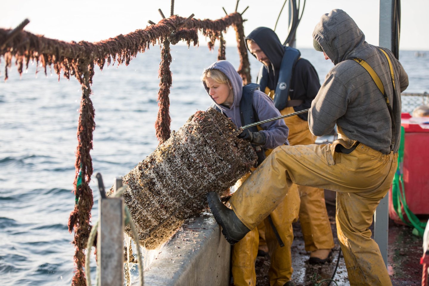 Women in Seafood & the Fishing Industry - Women In The Food Industry